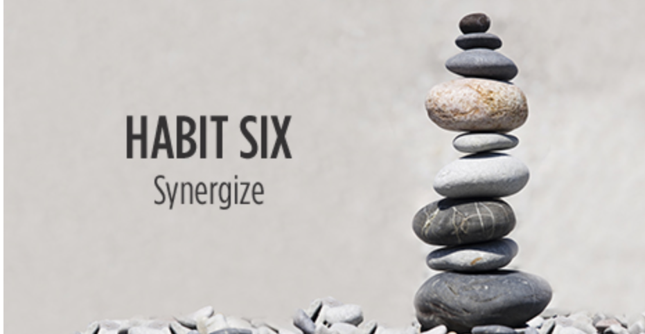 Habit 6: Synergize – Leadership & Development Hub